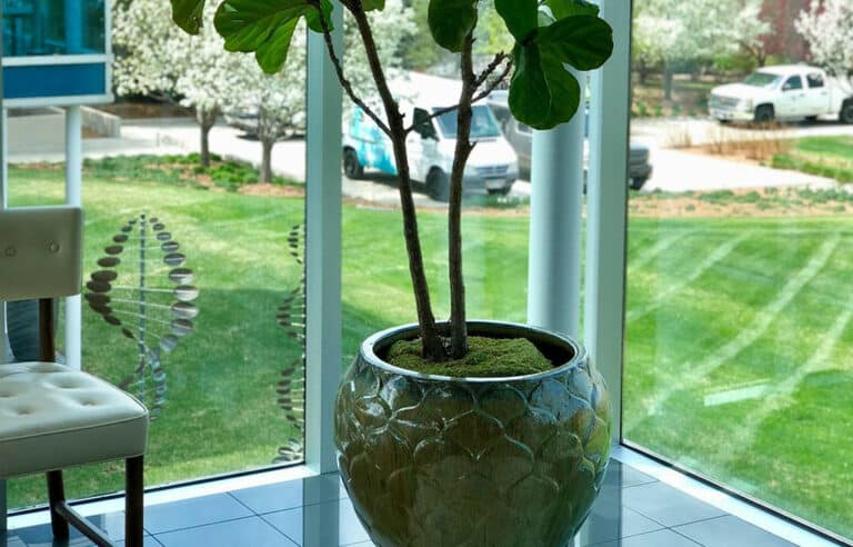 How to Prepare Your Home for Window Cleaning - Super Clean